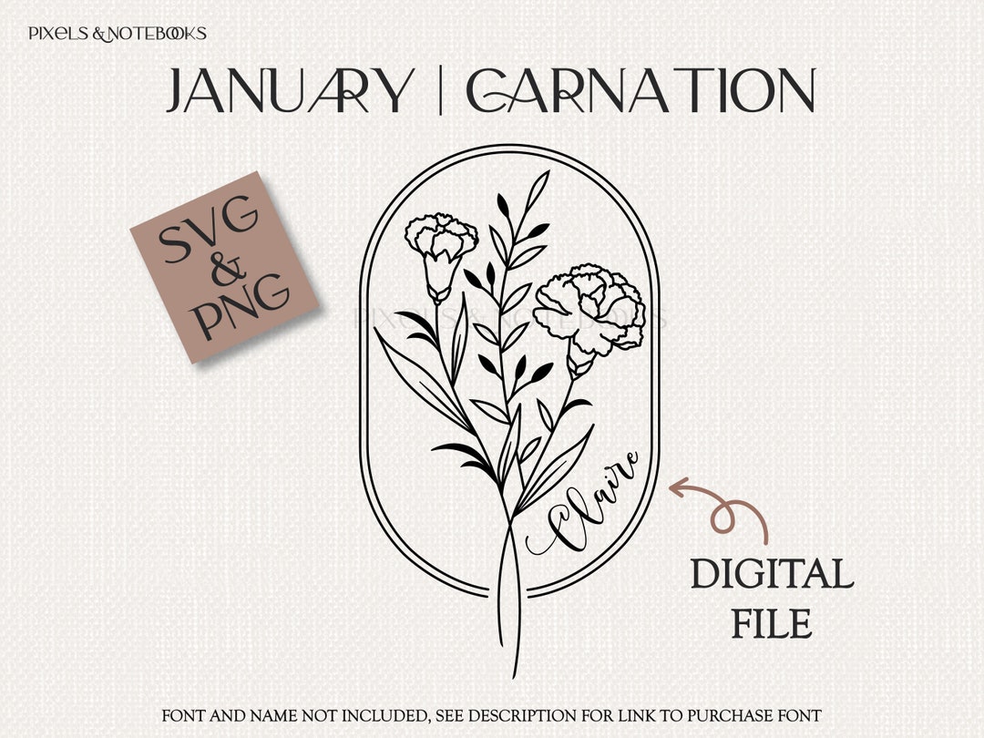 January Carnation Birth Month Flower Bouquet Frame SVG PNG | Digital ...