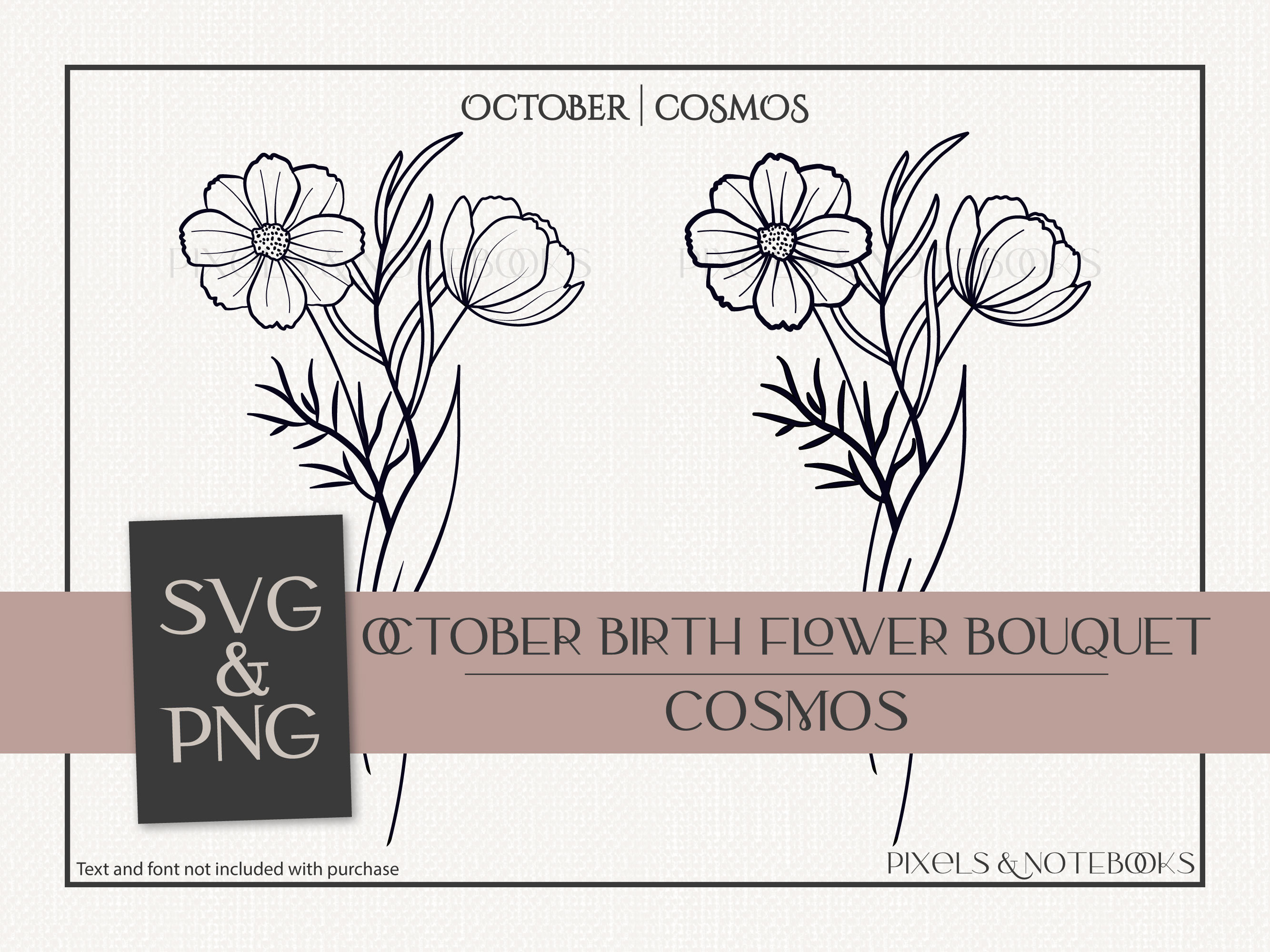 Cosmos Svg October Birth Flower Birth Month Flower Bouquet SVG PNG ...