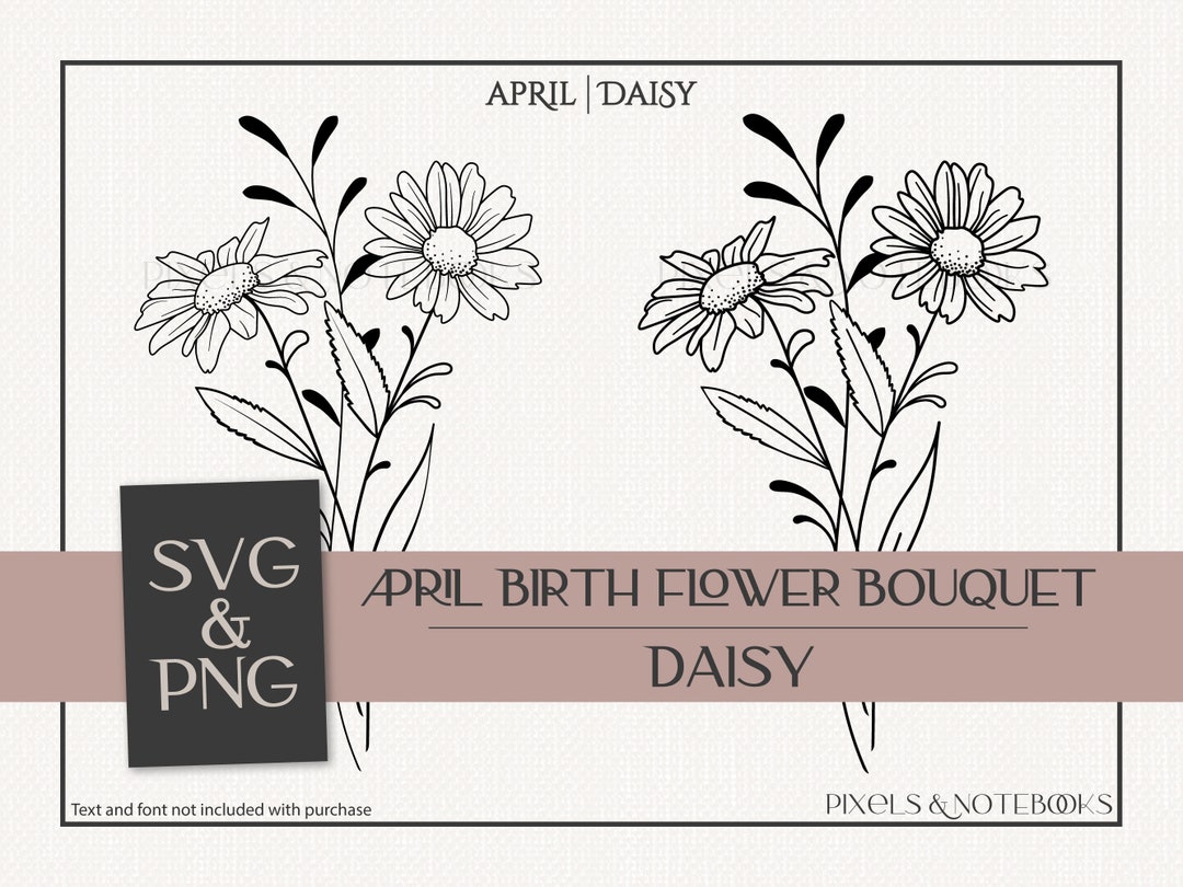 Daisy Svg | April Birth Flower | Birth Month Flower Bouquet SVG PNG ...