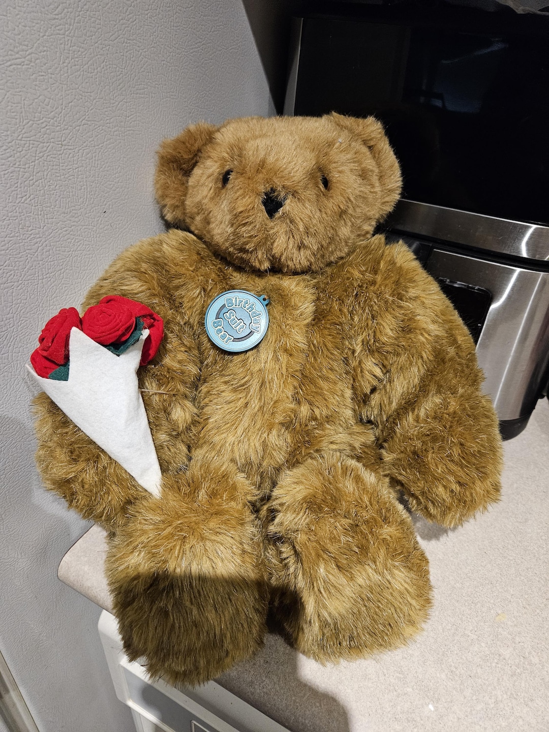 The Vermont Teddy Bear Company Birthday Suit Bear Jointed Removable ...
