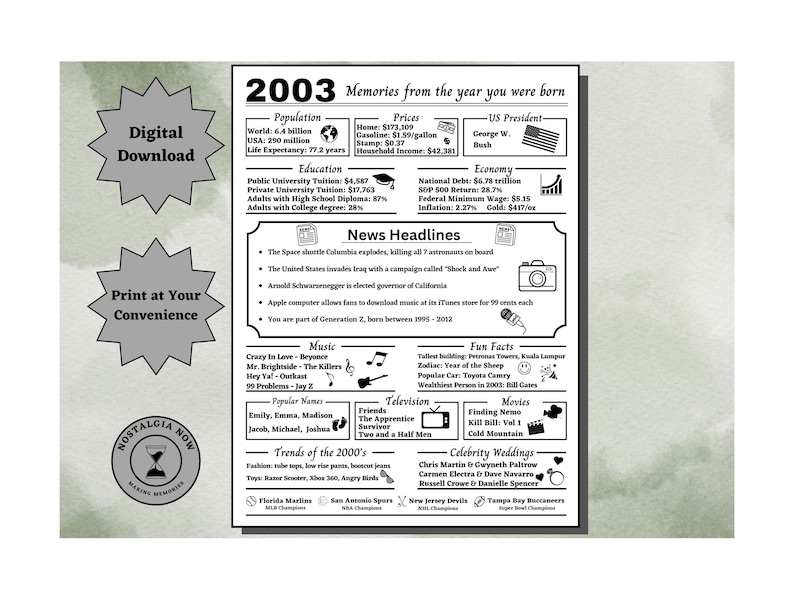 2003 Memories Printable / the Year You Were Born / 2003 Birthday ...