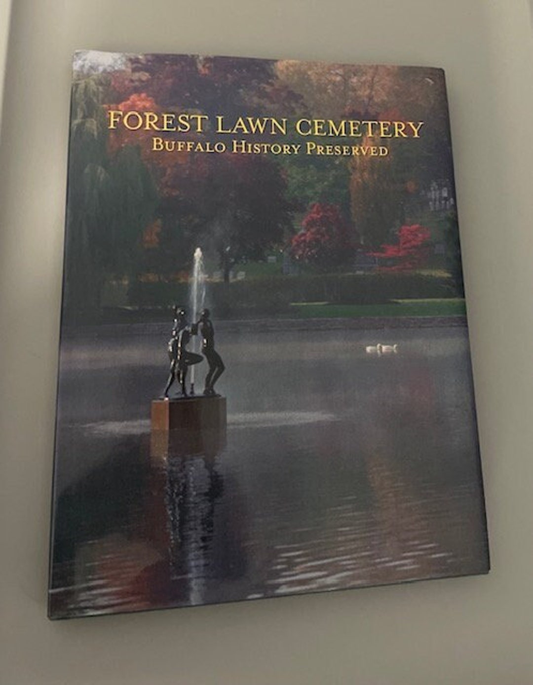Cemetery Book Forest Lawn Cemetery: Buffalo History Preserved Vintage ...