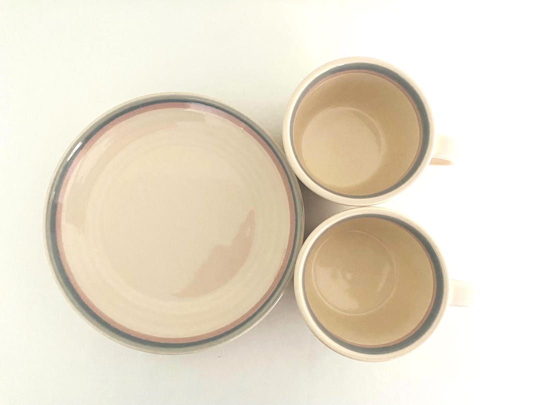 Set of 5 Pfaltzgraff Pink Aura Stoneware Plates and Mugs - Etsy
