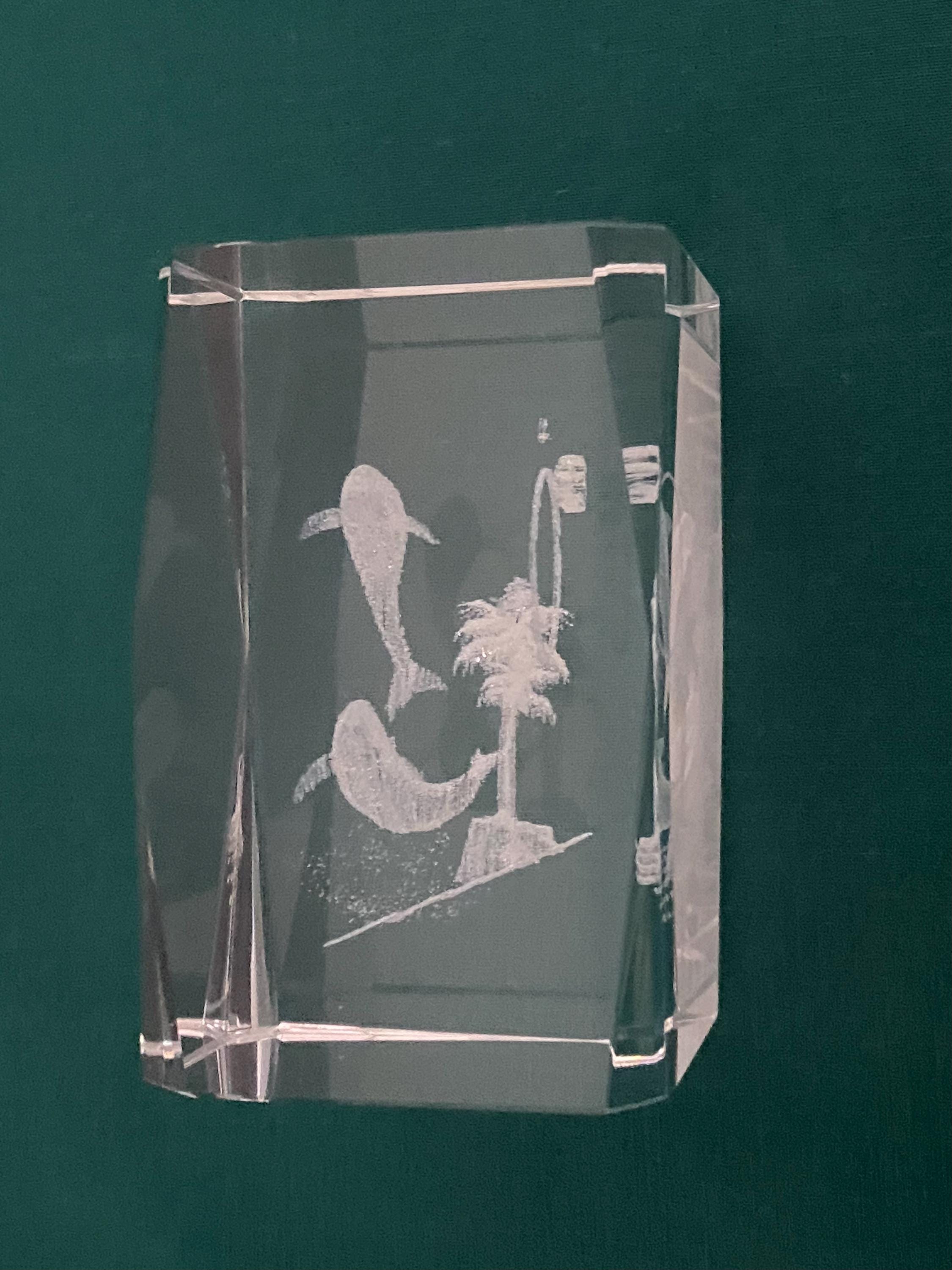 3D Laser Etched Clear Glass Dolphins Paperweight - Etsy
