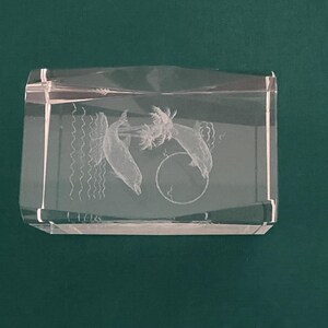 3D Laser Etched Clear Glass Dolphins Paperweight - Etsy