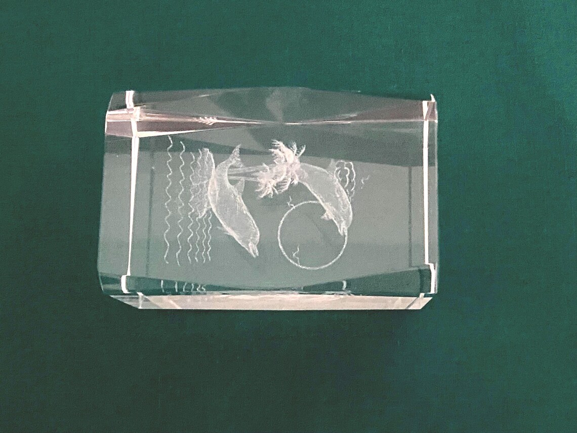 3D Laser Etched Clear Glass Dolphins Paperweight - Etsy