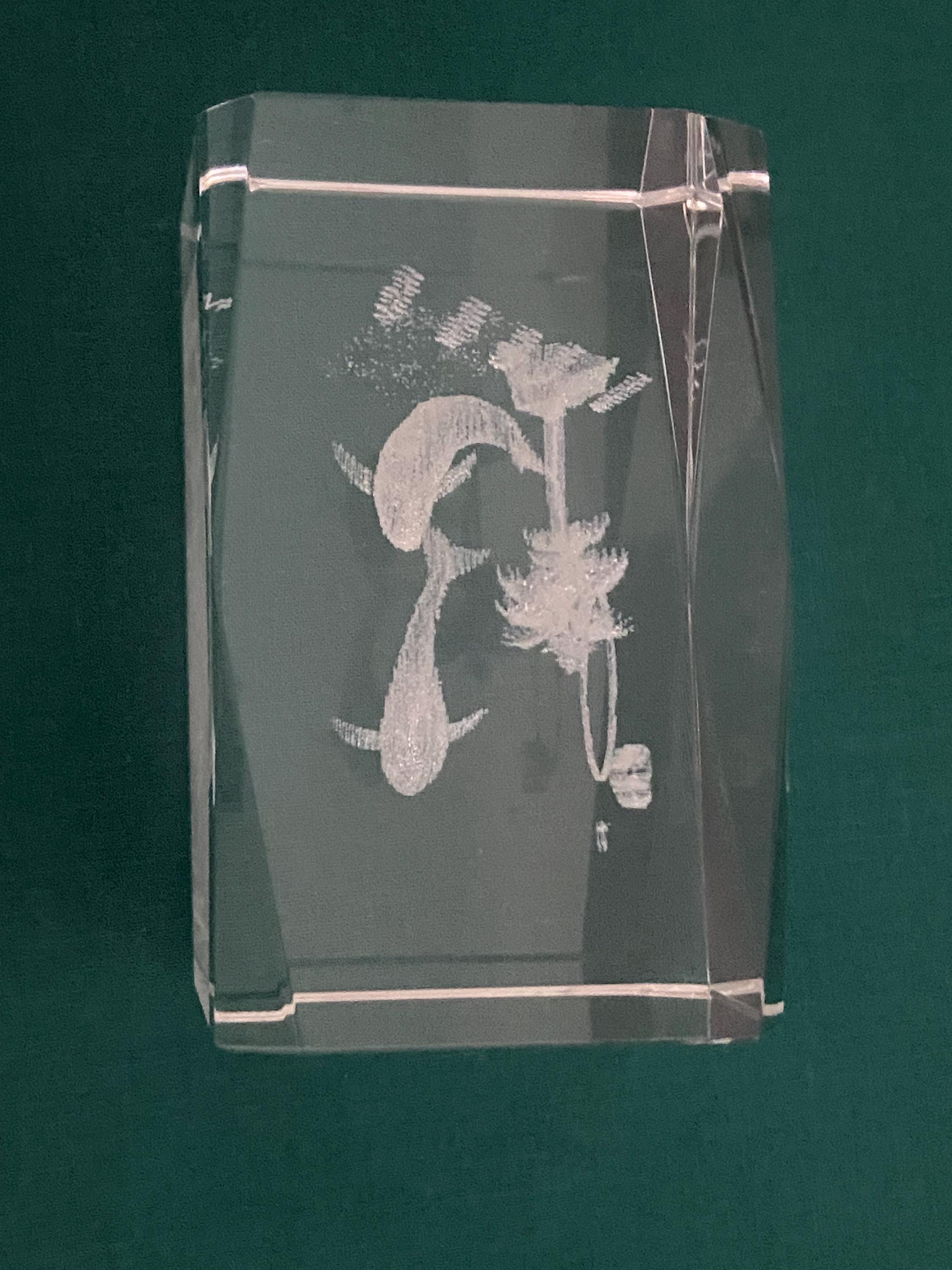 3D Laser Etched Clear Glass Dolphins Paperweight - Etsy