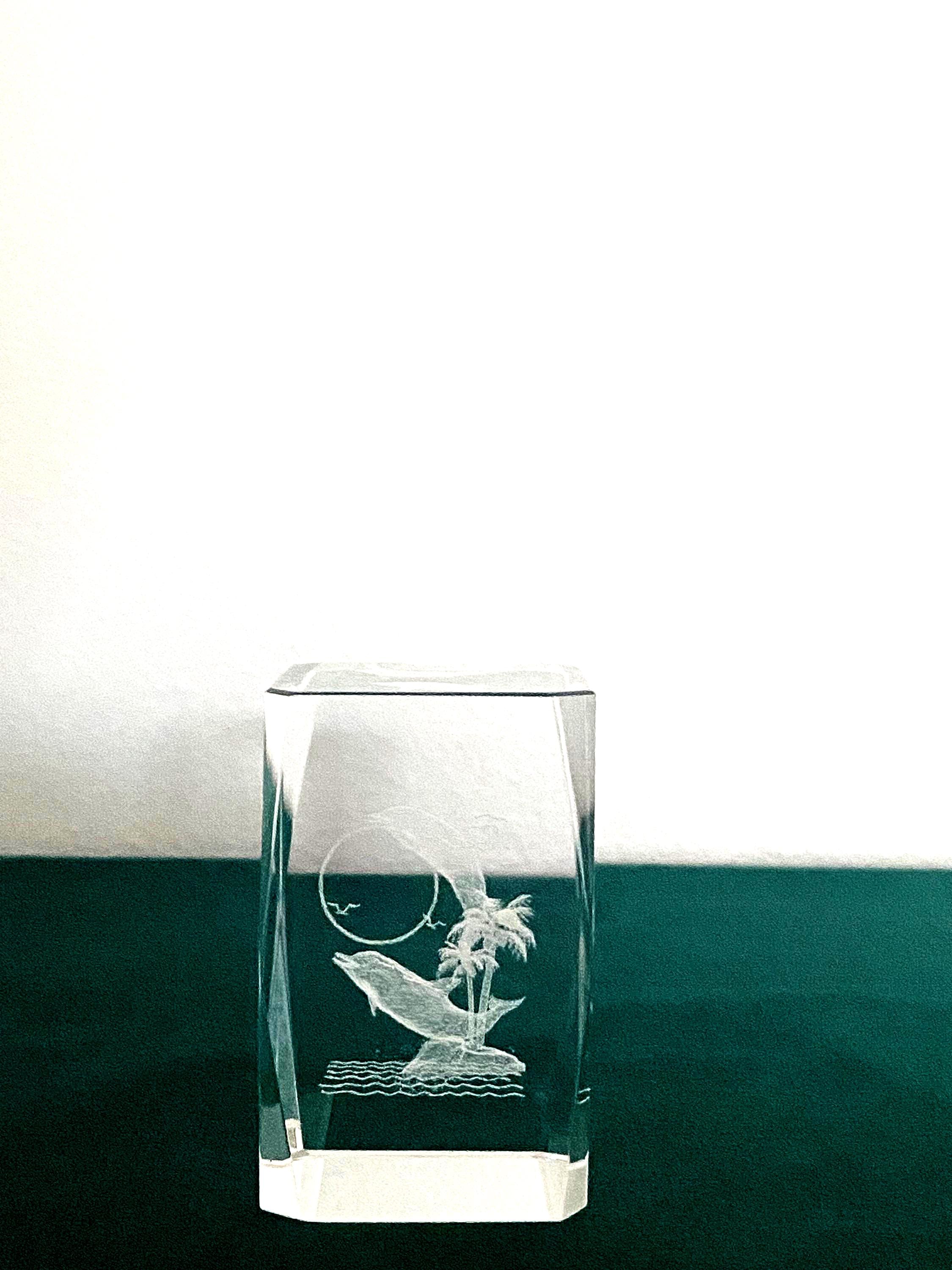 3D Laser Etched Clear Glass Dolphins Paperweight - Etsy