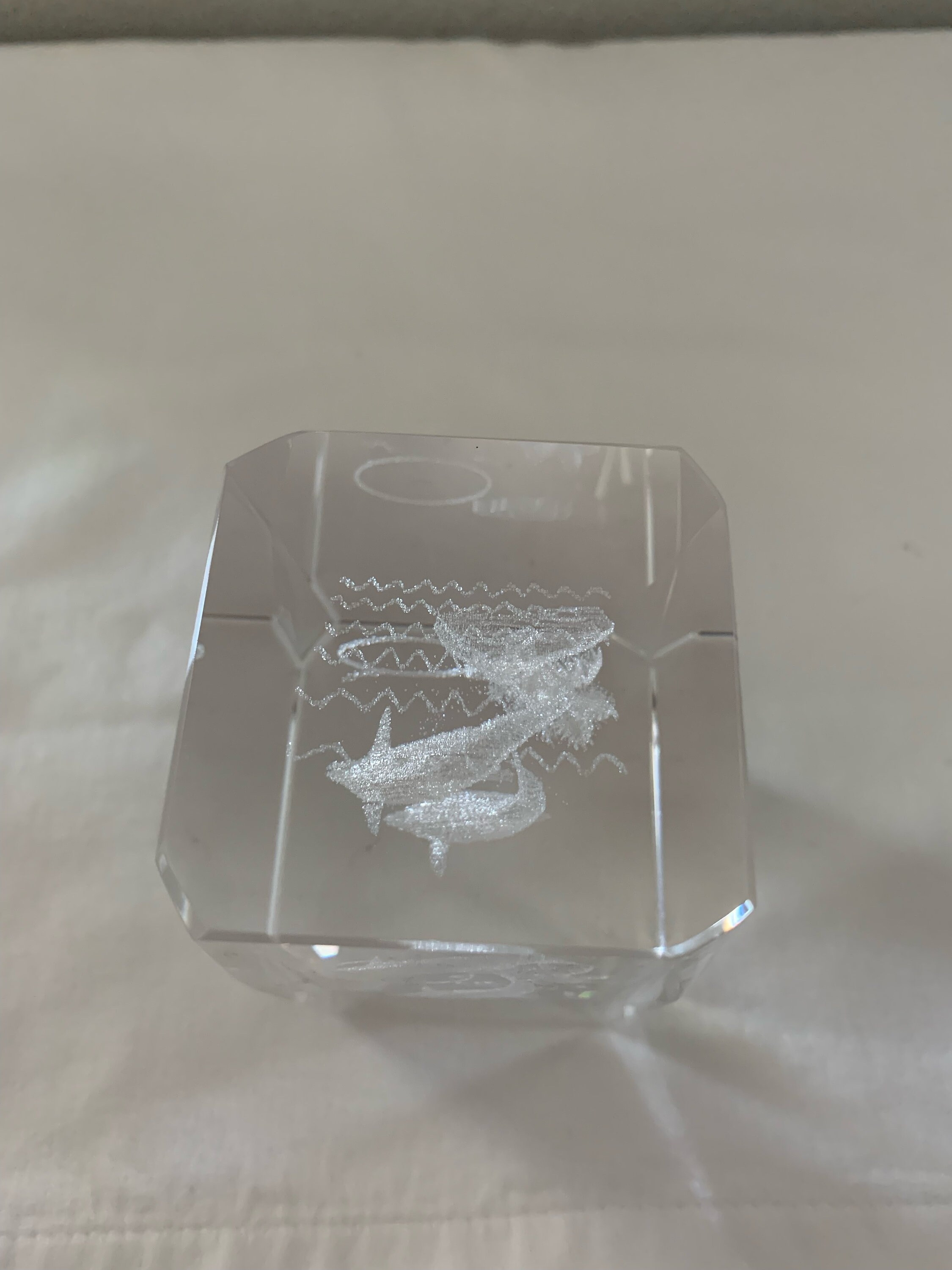 3D Laser Etched Clear Glass Dolphins Beveled Paperweight 3 H 2 W - Etsy