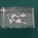 3D Laser Etched Clear Glass Dolphins Paperweight - Etsy