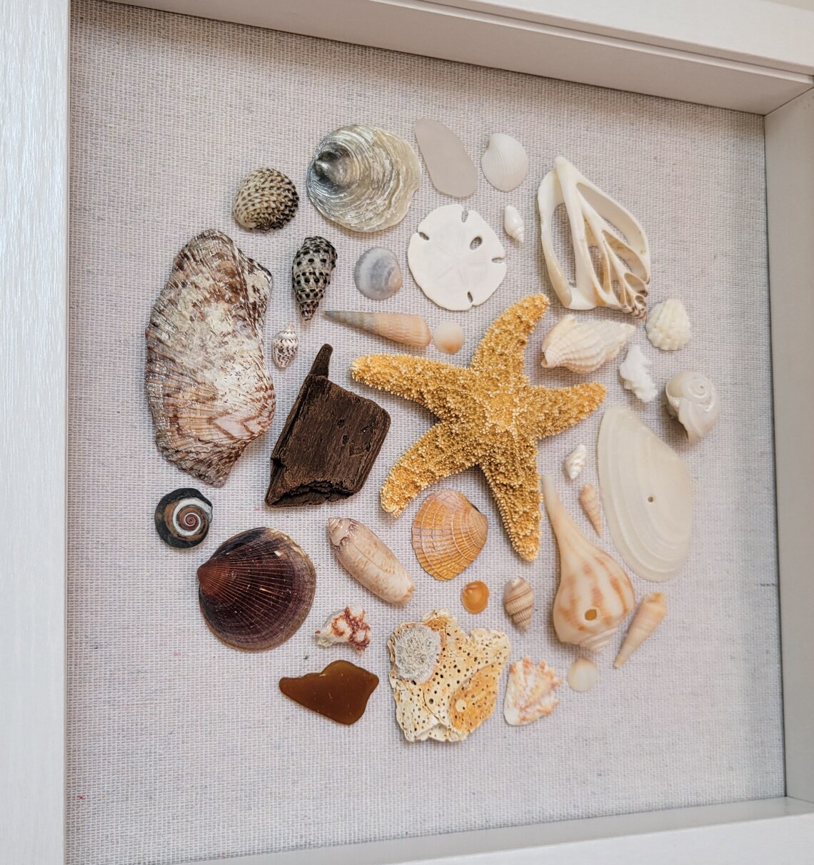 Shell Lover Gradient Shadow Box - Etsy