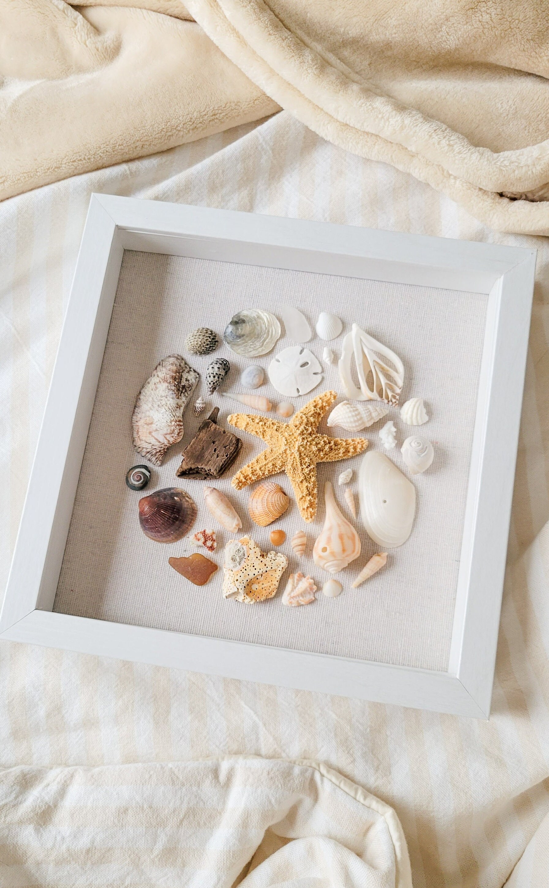 Shell Lover Gradient Shadow Box - Etsy