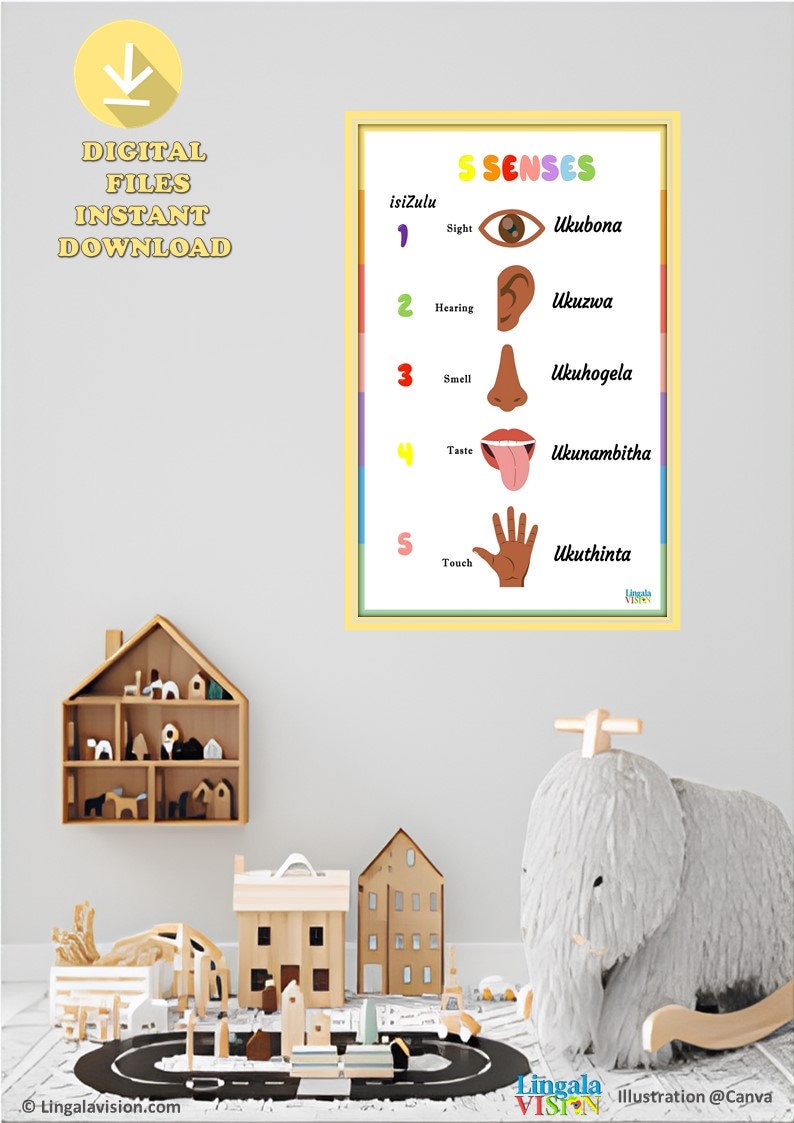 Isizulu Five Senses Poster, Educational Posters Preschool Kids Wall Art ...