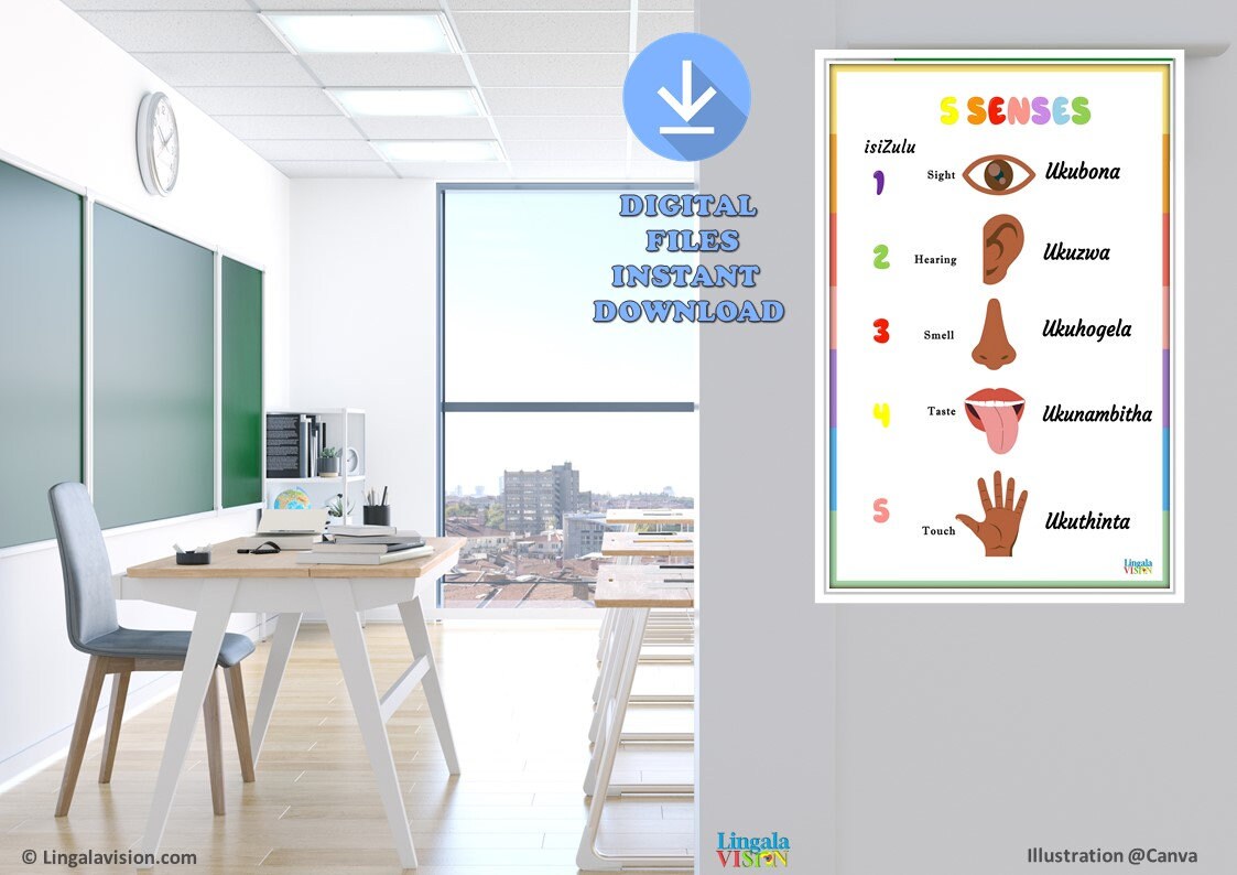 Isizulu Five Senses Poster, Educational Posters Preschool Kids Wall Art ...