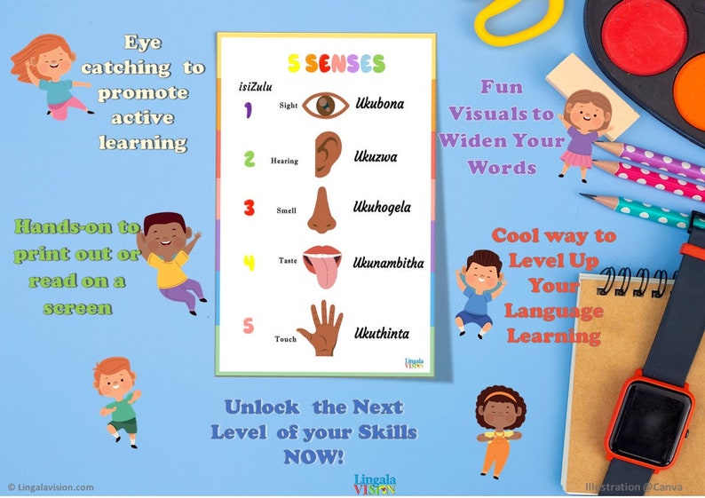 Isizulu Five Senses Poster, Educational Posters Preschool Kids Wall Art ...