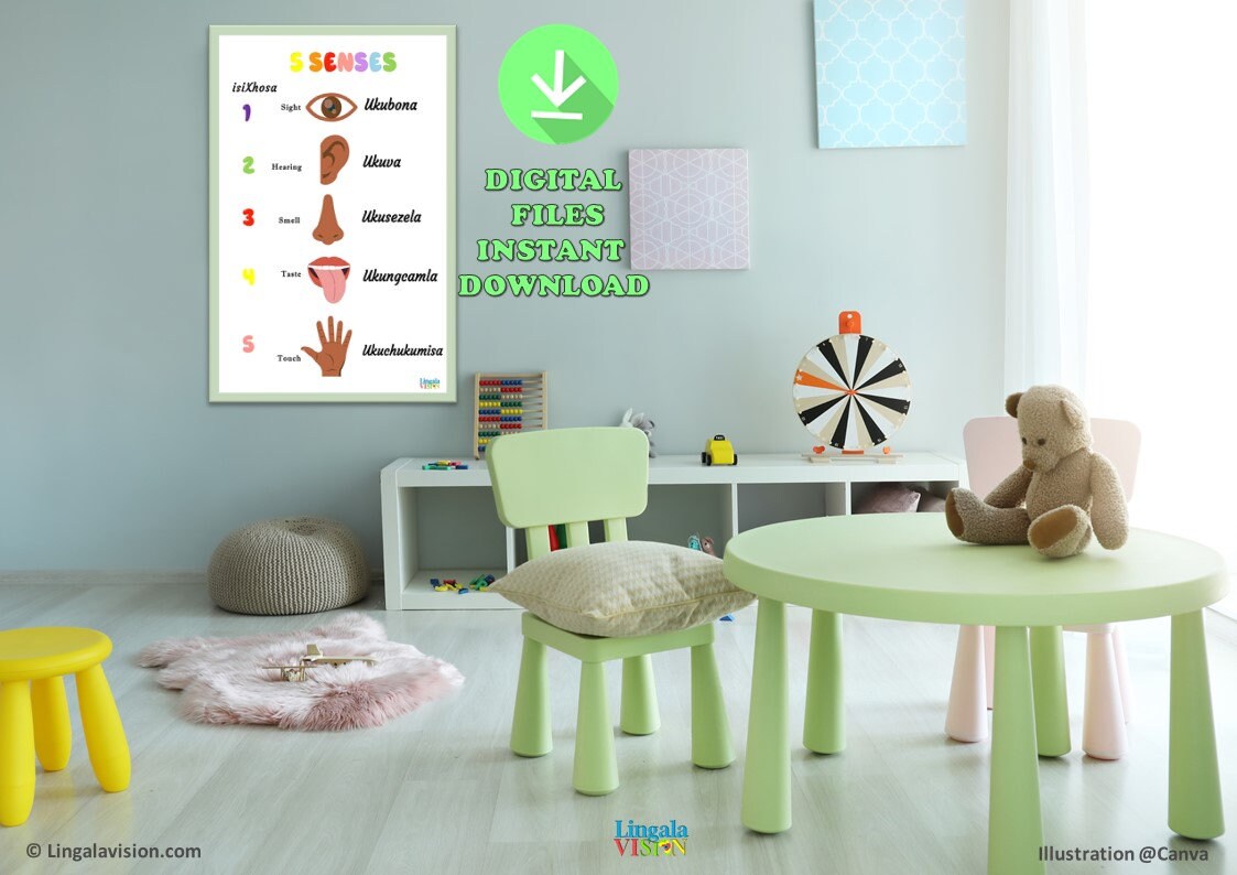 Xhosa Five Senses Poster, Educational Posters, Preschool Kids Wall Art ...