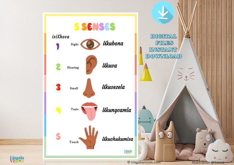 Xhosa Five Senses Poster, Educational Posters, Preschool Kids Wall Art ...