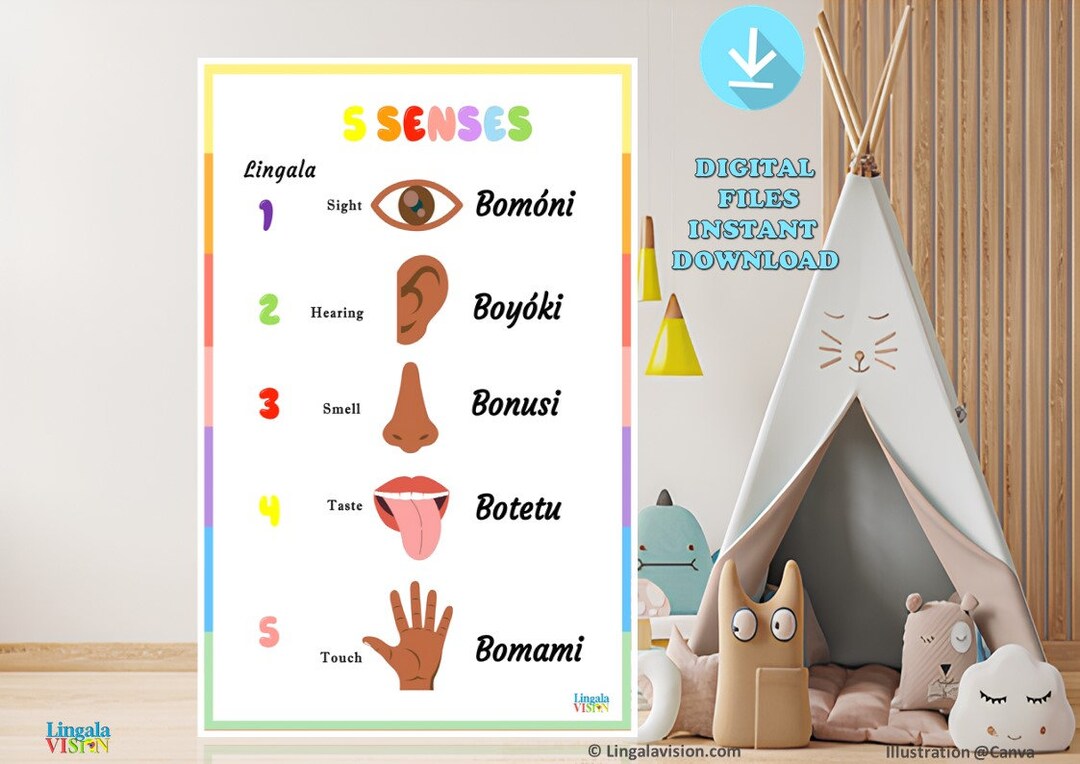 Lingala Five Senses Poster, Educational Posters Preschool Kids Wall Art ...