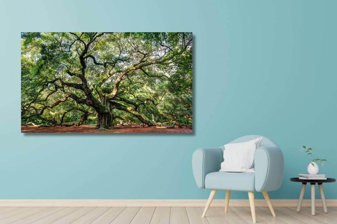 Angel Oak Tree Canvas Wall Art Large Canvas Wall Art Old Tree Print ...