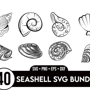 Seashell SVG - Seashells Svg, Seashell SVG Cut Files for Cricut ...