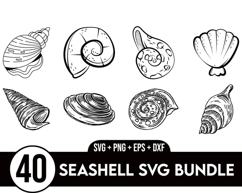 Seashell SVG Seashells Svg, Seashell SVG Cut Files for Cricut, Seashell ...