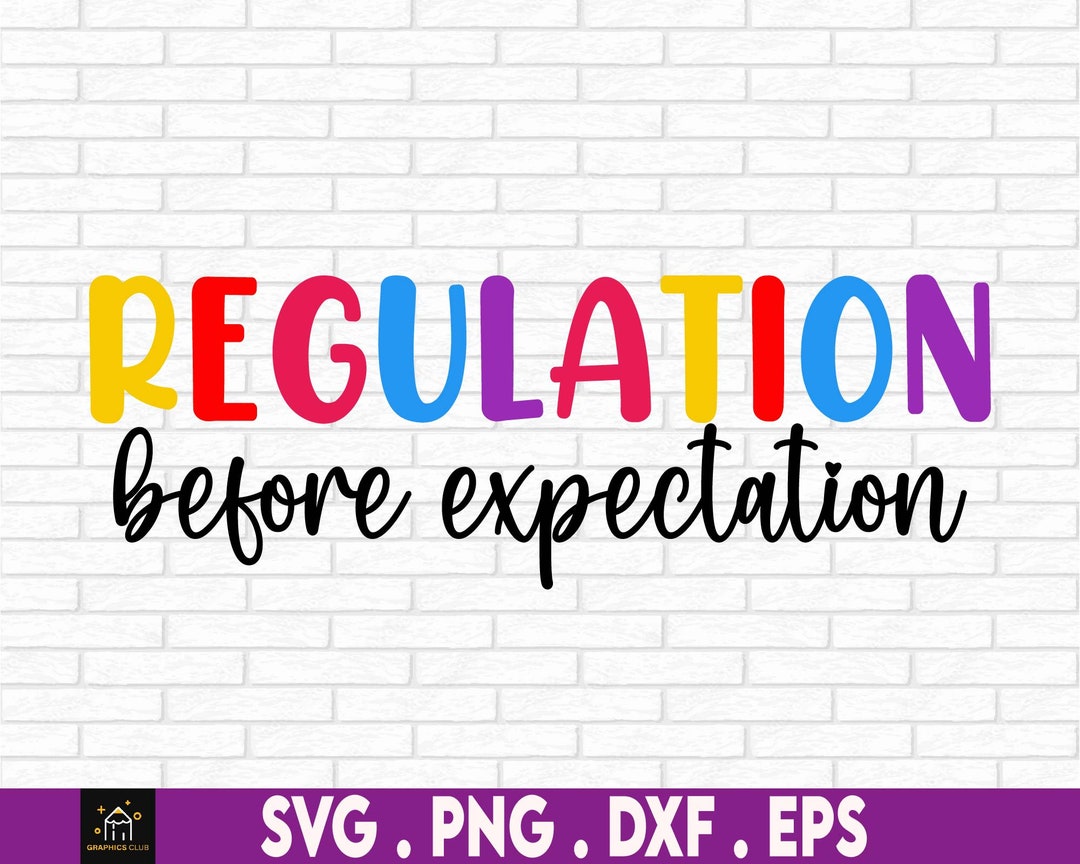 Regulation Before Expectation Shirt, Autism Pocket Shirt, Special Education Minimalist Tshirt ...