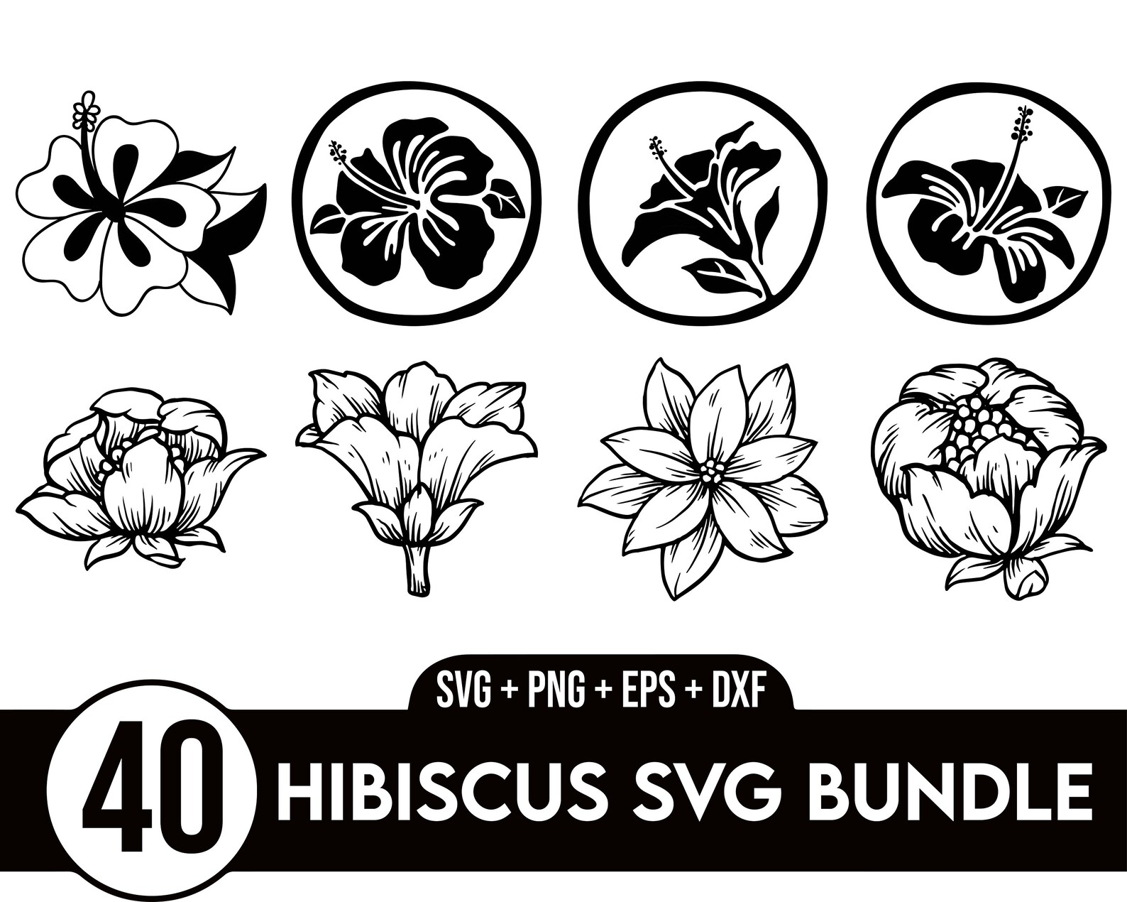 Hibiscus SVG Bundle, Hibiscus PNG Bundle, Hibiscus Clipart, Hibiscus ...