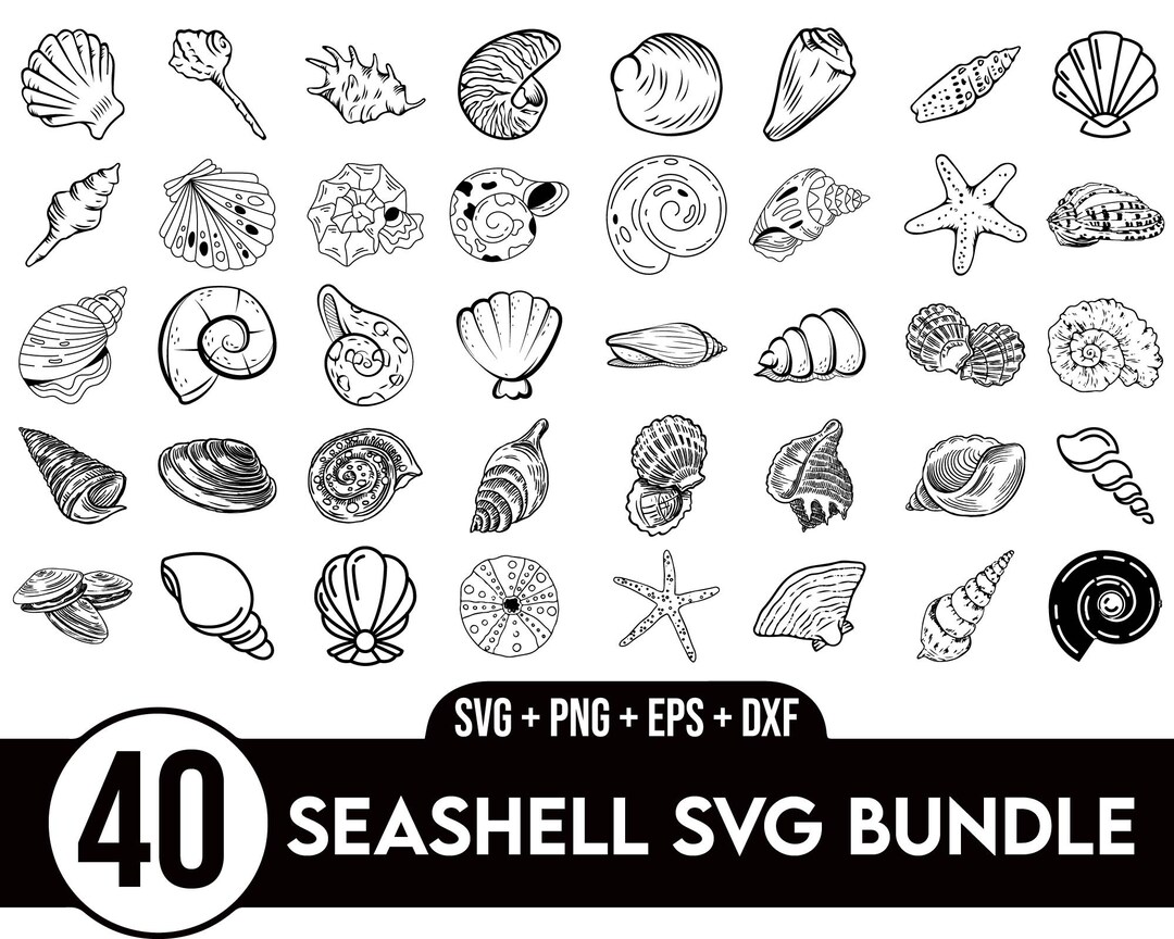 Seashell SVG - Seashells Svg, Seashell SVG Cut Files for Cricut ...