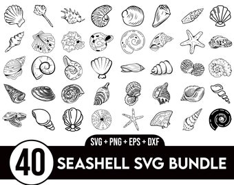 Seashell SVG Bundle, Seashell PNG Bundle, Seashell Clipart, Seashell ...