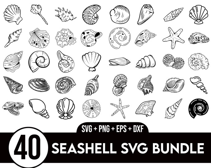 Seashell SVG Bundle, Seashell PNG Bundle, Seashell Clipart, Seashell ...