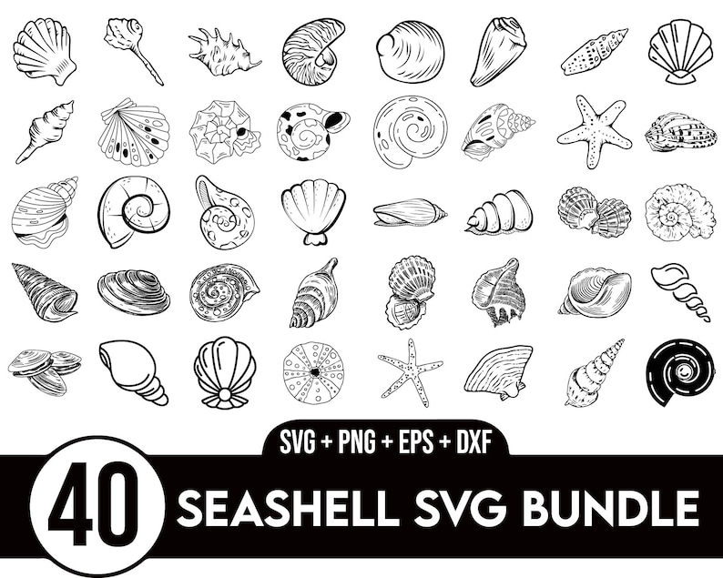 Seashell SVG Seashells Svg, Seashell SVG Cut Files for Cricut, Seashell ...