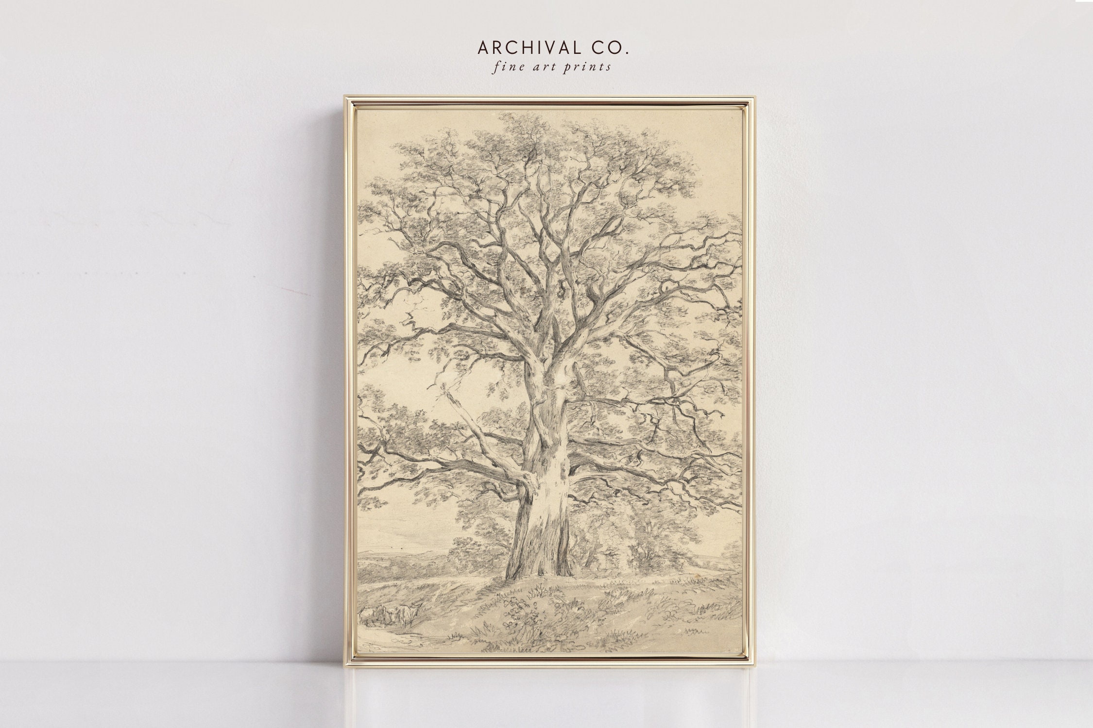 Sycamore Tree Art Print Vintage Landscape Sketch Digital Download ...