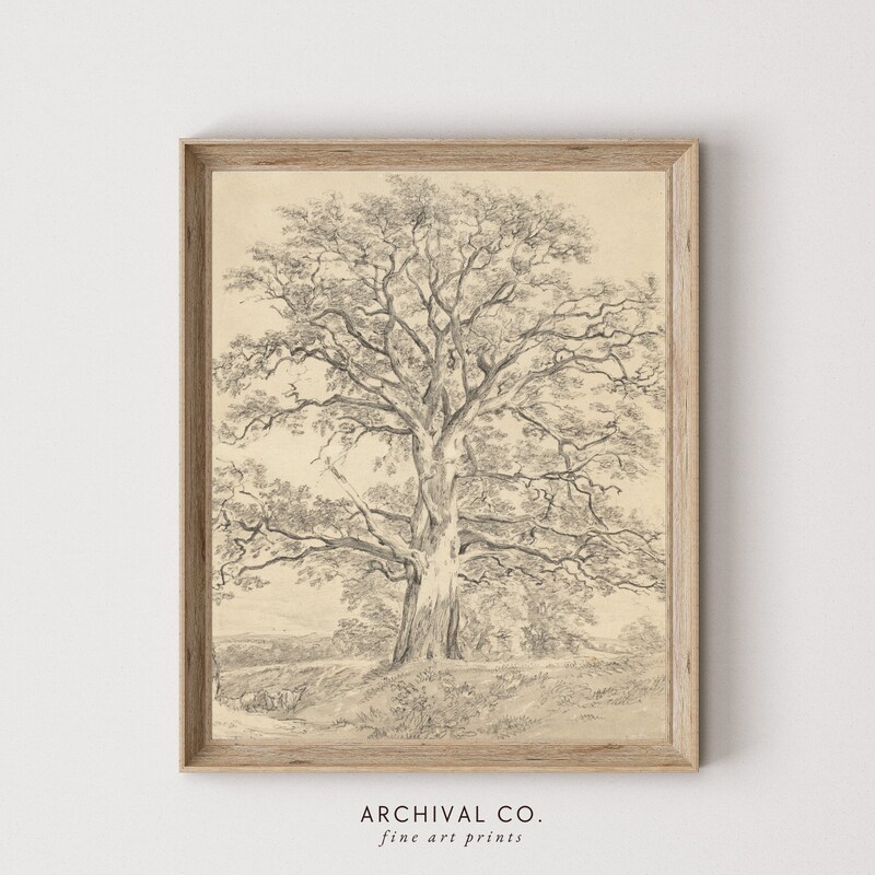 Tree Drawing Digital Art - Etsy