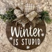 Winter is Stupid Funny Door Sign | Front Door Wooden Decor - Etsy
