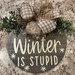 Winter is Stupid Funny Door Sign | Front Door Wooden Decor - Etsy