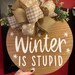 Winter is Stupid Funny Door Sign | Front Door Wooden Decor - Etsy