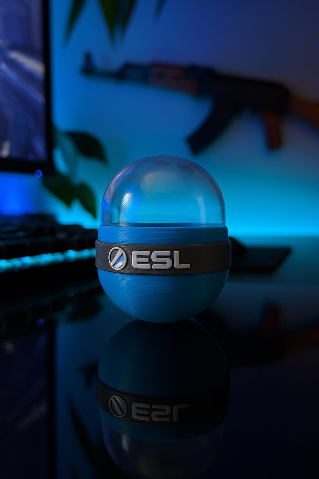 CS2 / CS:GO Katowice 2014 Capsule With Removable Lid | 3D Printed ...