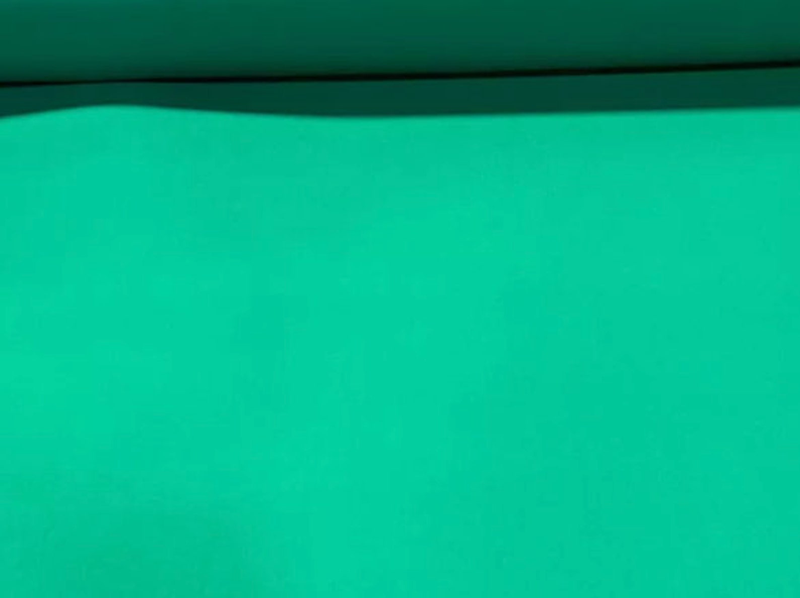 Sunbrella Shade Canvas Fabric Awning Silica Erin Green 4600 Waterproof ...