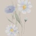 Beautiful Templates, Unique, Modern - Etsy