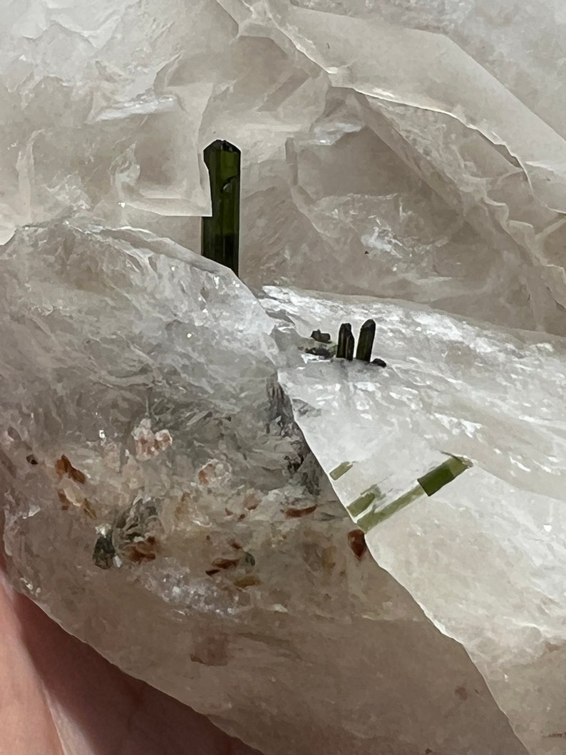 Cathedral Quartz Crystal: Alligator Quartz Matrix With Green Tourmaline ...
