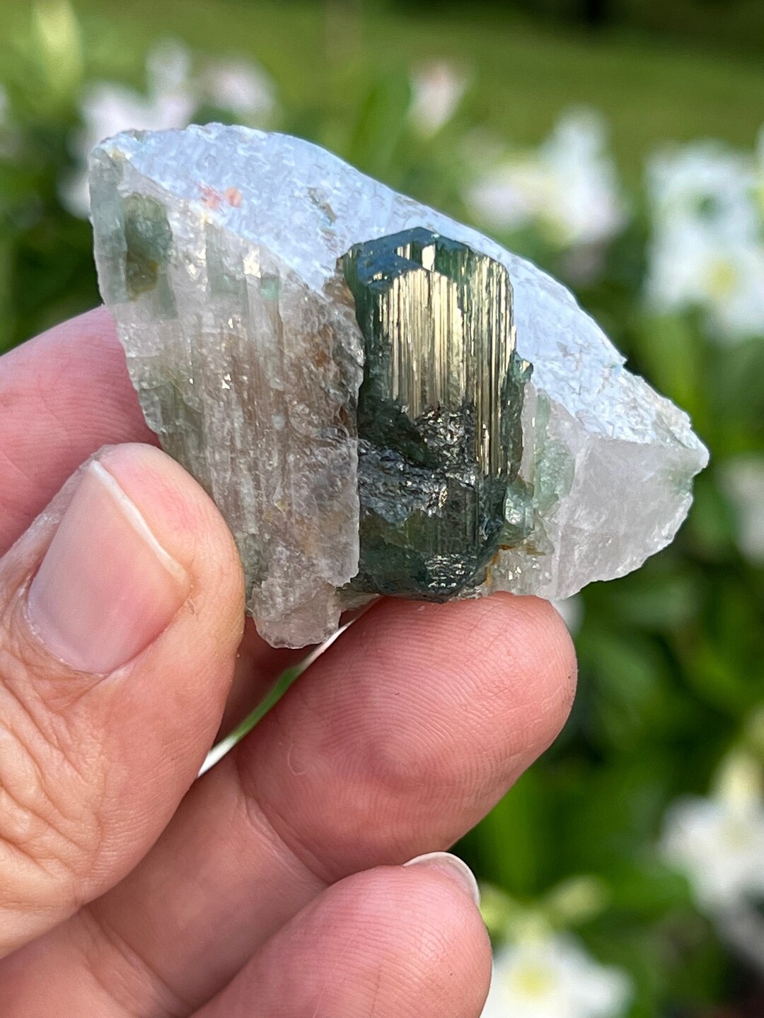 Tourmaline on Matrix Terminated Tourmaline on Quartz - Etsy