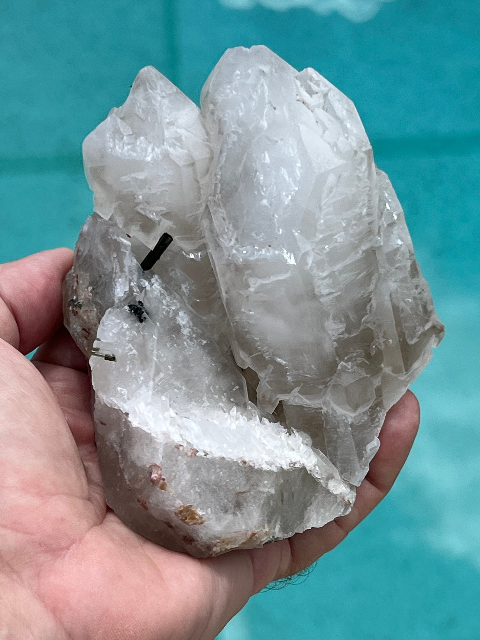 Cathedral Quartz Crystal: Alligator Quartz Matrix With Green Tourmaline ...