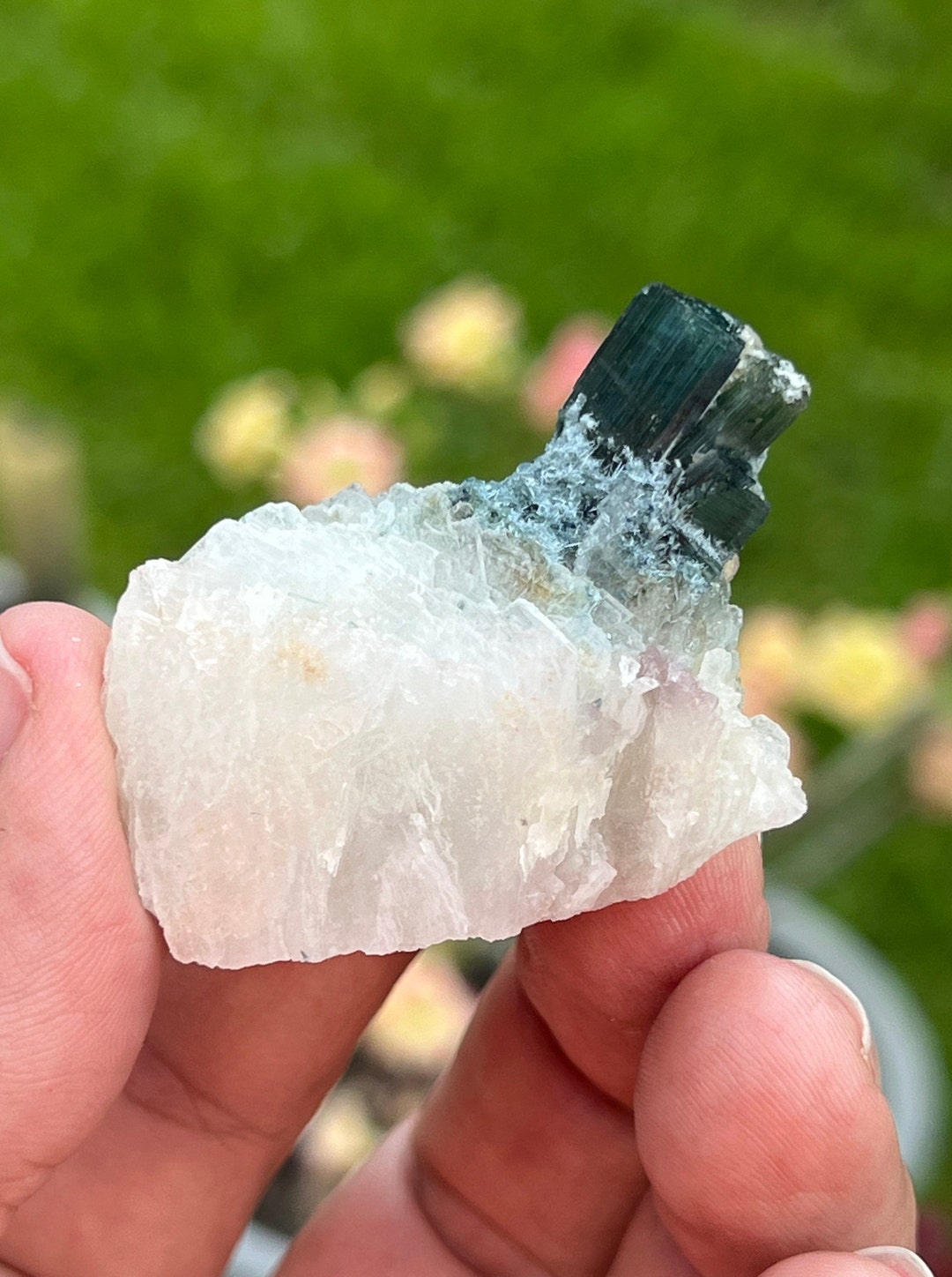 Green Tourmaline on Albite Green Tourmaline Mineral Specimen Rock ...