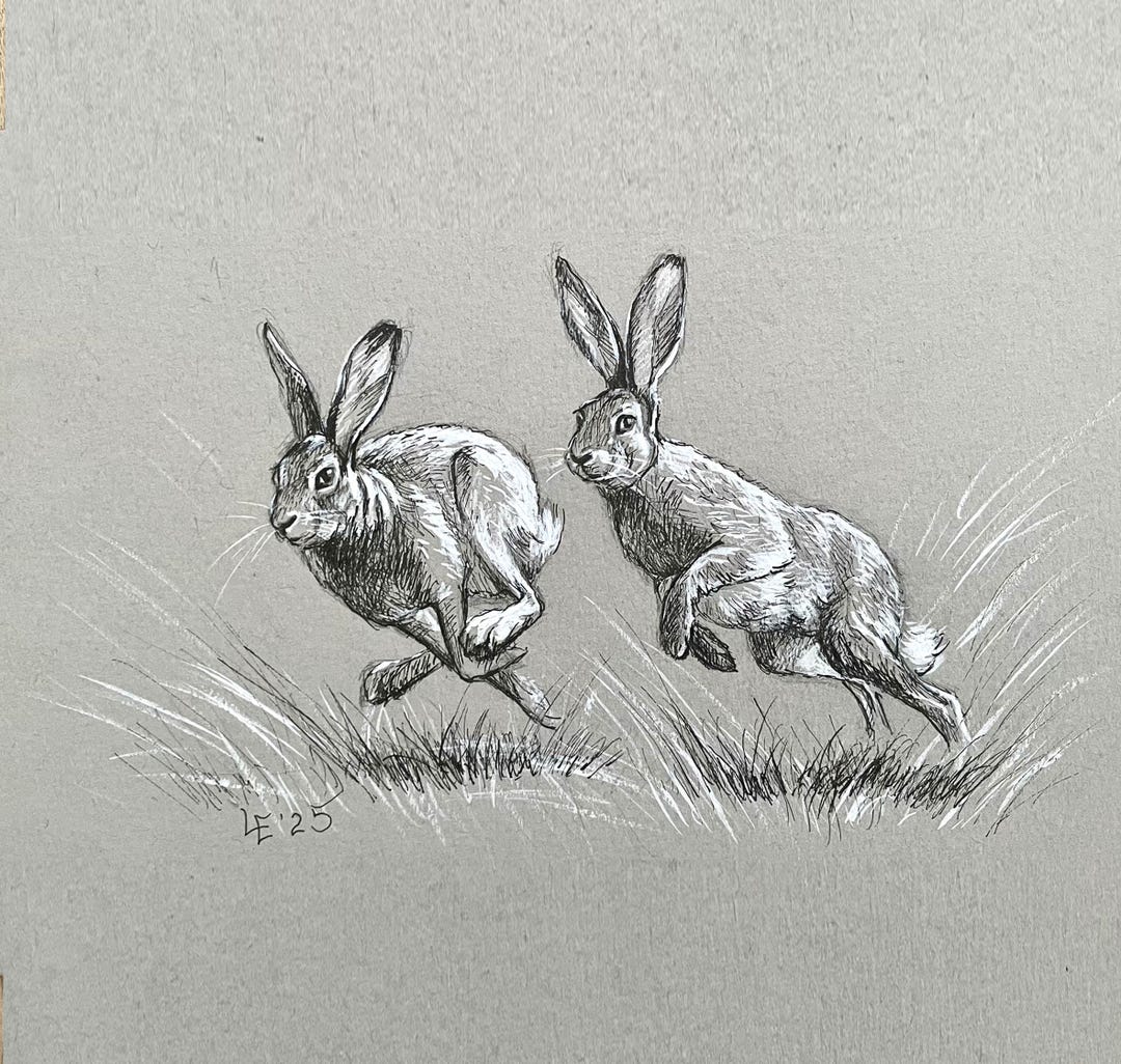 Spring Hares 2 – Original Ink Drawing on Tinted Paper, Birthday Gift ...