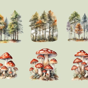 Watercolor Woodland Animals Clipart Bundle L Woodland Forest L Owl ...