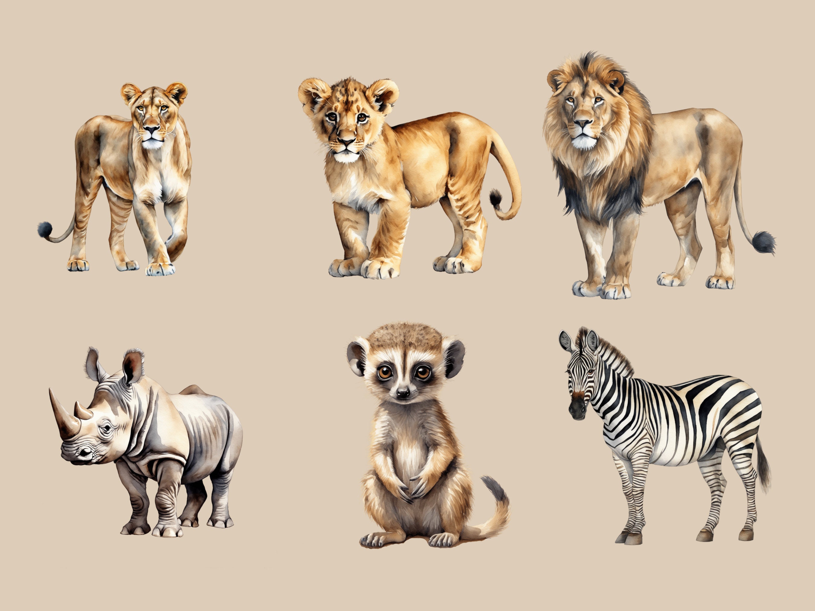 Watercolor Safari Animals Clipart Bundle L Savannah Clipart L - Etsy