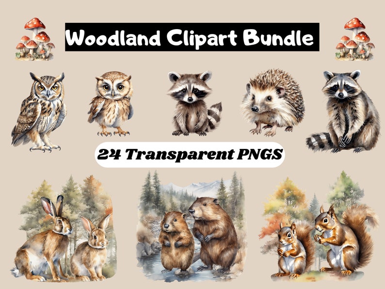 Watercolor Woodland Animals Clipart Bundle L Woodland Forest L Owl ...