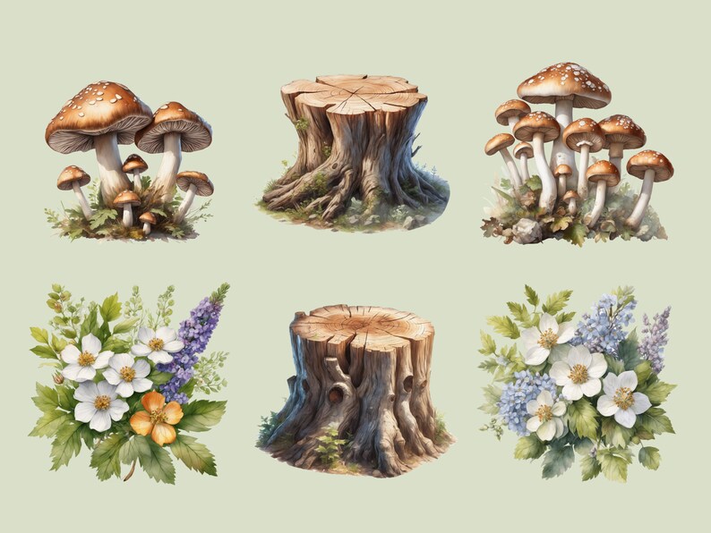 Mega Watercolor Woodland Forest Clipart Bundle L Woodland Animals L ...