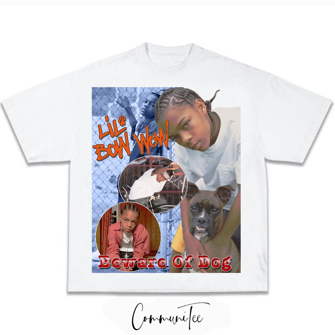 Lil Bow Wow And Lil Romeo Braids