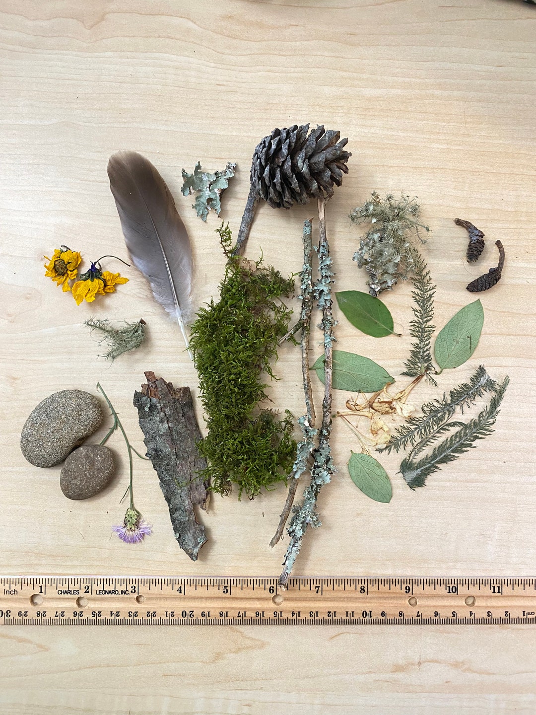 Forest Finds Kit: Natural Rustic Decor, DIY Fairy Garden Supplies - Etsy